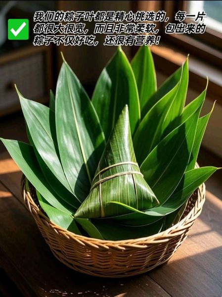 包粽子用什么叶子好吃_粽叶怎么选才香-第2张图片-山城妙识 包粽子用什么叶子好吃_粽叶怎么选才香-第2张图片-山城妙识