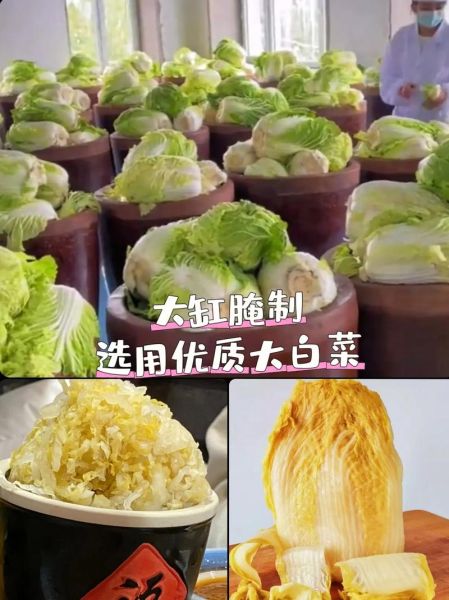 正宗东北酸菜怎么腌制_东北酸菜腌制窍门-第3张图片-山城妙识