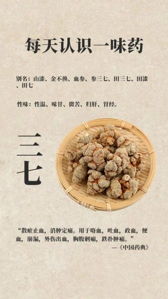 三七的功效与作用_三七的正确吃法-第1张图片-山城妙识