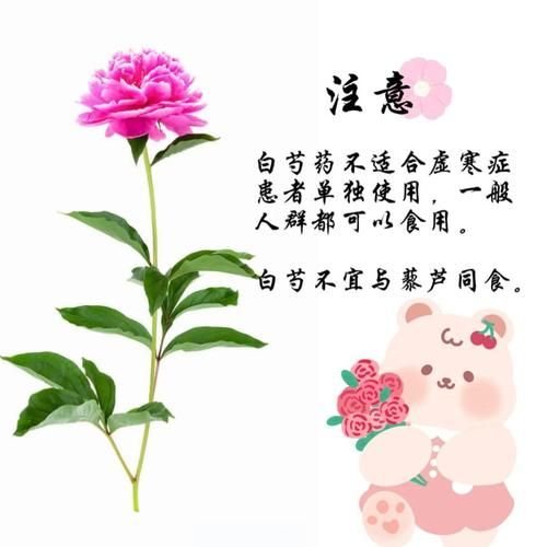 炒白芍图片长什么样_炒白芍与白芍区别-第2张图片-山城妙识 炒白芍图片长什么样_炒白芍与白芍区别-第2张图片-山城妙识