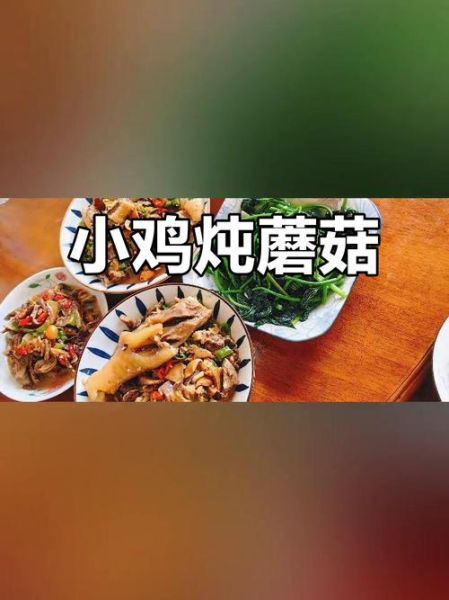 小鸡炖蘑菇暗号怎么接_暗号完整版-第1张图片-山城妙识