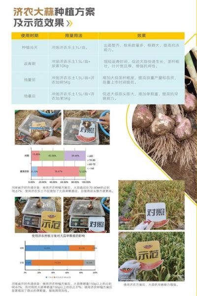 大蒜网论坛_大蒜种植技术交流-第1张图片-山城妙识