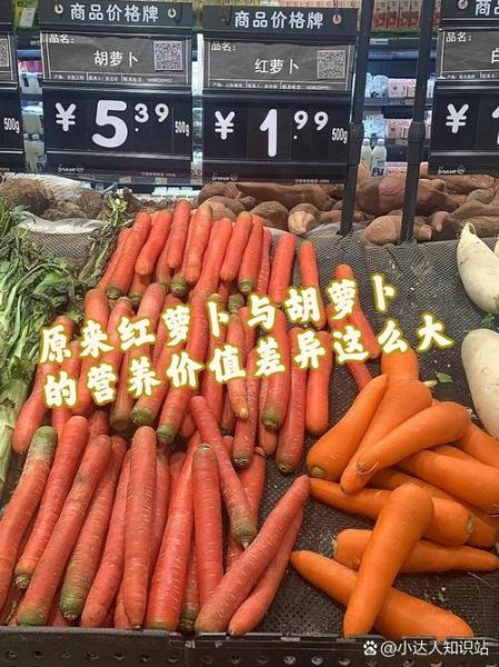 红萝卜和白萝卜的区别_哪个营养更高-第2张图片-山城妙识 红萝卜和白萝卜的区别_哪个营养更高-第2张图片-山城妙识