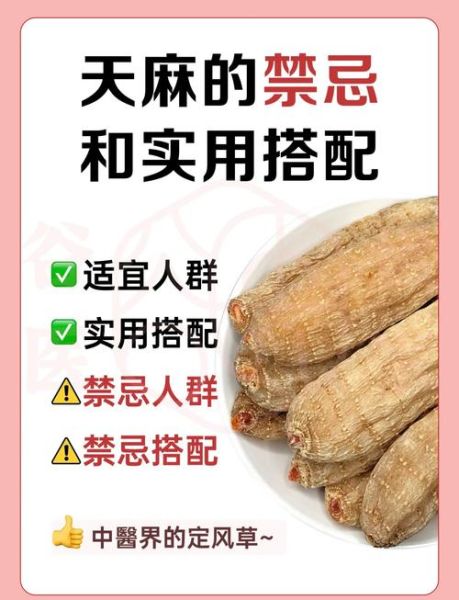 天麻子有什么功效与作用_天麻子怎么吃效果最好-第1张图片-山城妙识 天麻子有什么功效与作用_天麻子怎么吃效果最好-第1张图片-山城妙识