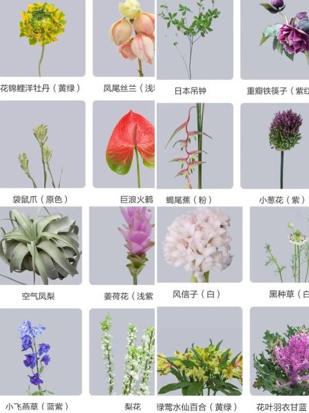 名贵花卉图片及名称_如何辨别真假-第1张图片-山城妙识