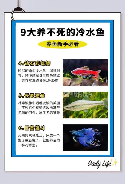 水鱼养殖方法与技术_水鱼养殖常见问题-第1张图片-山城妙识 水鱼养殖方法与技术_水鱼养殖常见问题-第1张图片-山城妙识