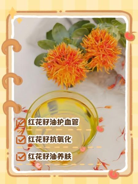 红花籽油的功效与作用_怎么吃最健康-第1张图片-山城妙识