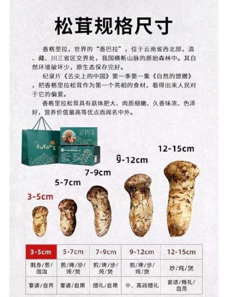 松茸多少钱一斤_2024最新价格行情-第2张图片-山城妙识