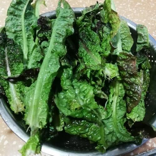 莴笋叶焯水几分钟_焯水后怎么保持翠绿-第3张图片-山城妙识