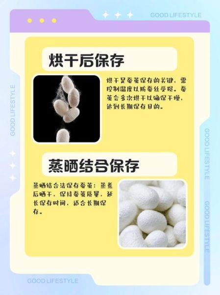 蚕茧怎么处理_蚕茧怎么抽丝-第3张图片-山城妙识 蚕茧怎么处理_蚕茧怎么抽丝-第3张图片-山城妙识