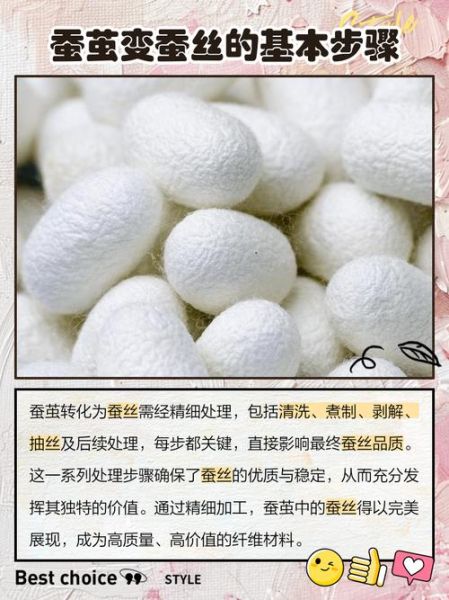 蚕茧怎么处理_蚕茧怎么抽丝-第2张图片-山城妙识 蚕茧怎么处理_蚕茧怎么抽丝-第2张图片-山城妙识