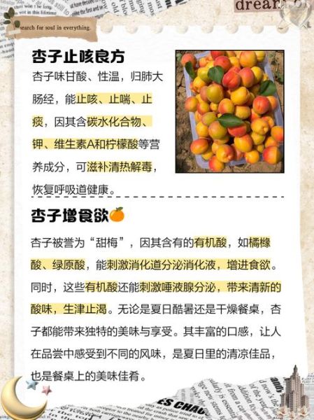 杏的功效与作用及禁忌_吃杏会上火吗-第1张图片-山城妙识 杏的功效与作用及禁忌_吃杏会上火吗-第1张图片-山城妙识