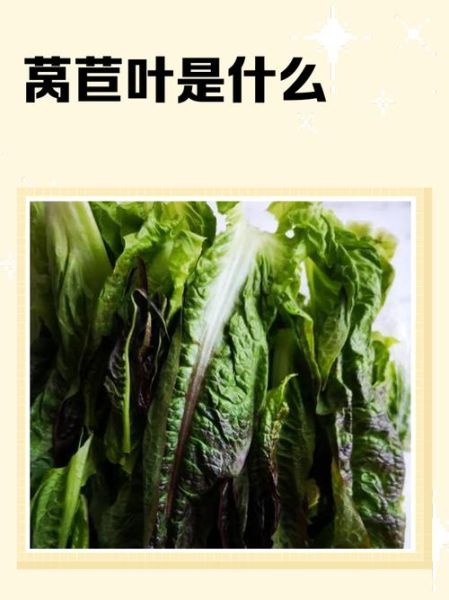 莴苣叶子吃了会拉肚子吗_莴苣叶子有哪些害处-第1张图片-山城妙识