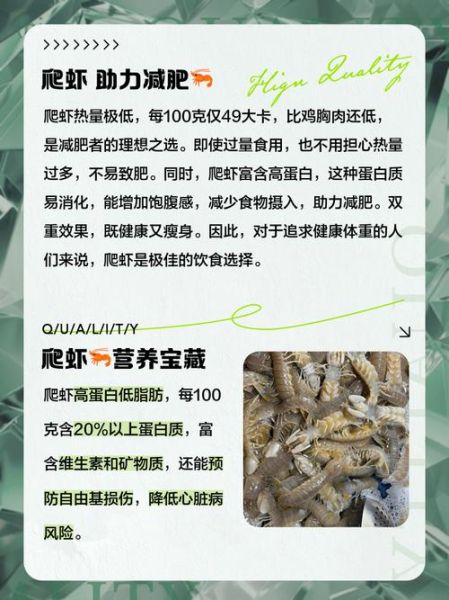 虾的热量是多少_减肥可以吃虾吗-第3张图片-山城妙识 虾的热量是多少_减肥可以吃虾吗-第3张图片-山城妙识