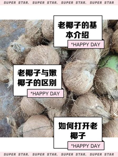 老椰子肉怎么吃_老椰子肉的做法大全-第3张图片-山城妙识