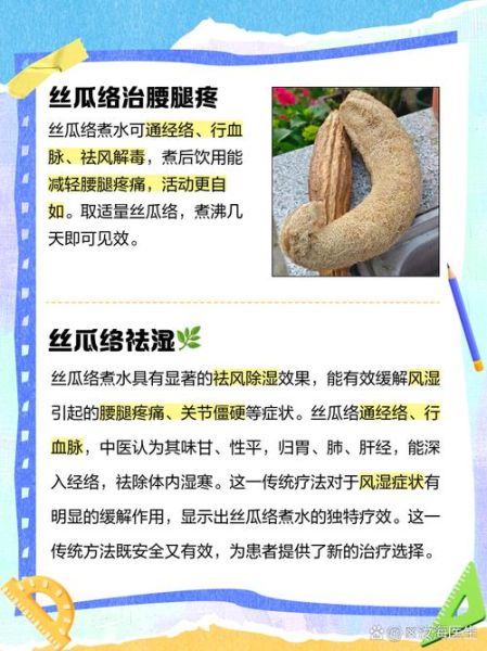 丝瓜水可以喝吗_丝瓜水禁忌人群与注意事项-第3张图片-山城妙识 丝瓜水可以喝吗_丝瓜水禁忌人群与注意事项-第3张图片-山城妙识