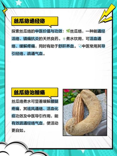 丝瓜水可以喝吗_丝瓜水禁忌人群与注意事项-第1张图片-山城妙识 丝瓜水可以喝吗_丝瓜水禁忌人群与注意事项-第1张图片-山城妙识