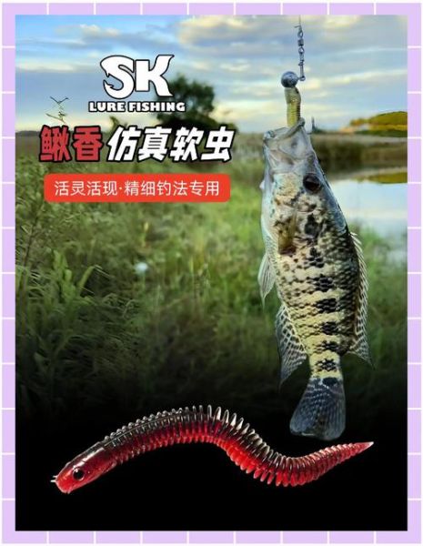 鲈鱼怎么钓_鲈鱼用什么饵-第3张图片-山城妙识