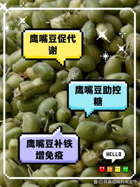 鹰嘴豆的功效与作用_鹰嘴豆怎么吃减肥-第3张图片-山城妙识