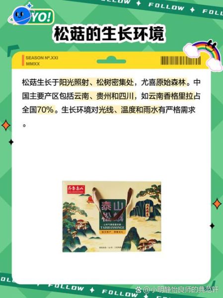 松乳菇怎么挑选_松乳菇价格多少钱一斤-第3张图片-山城妙识