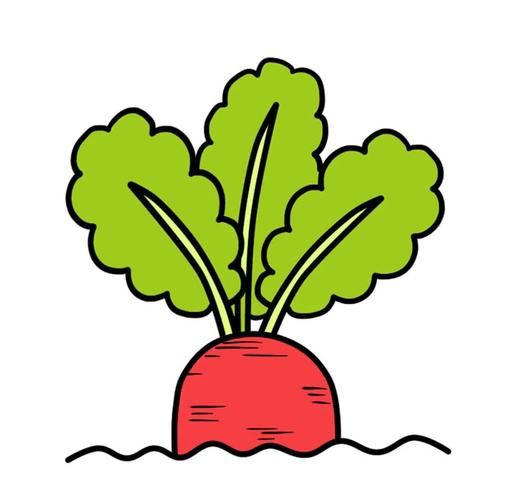 萝卜简笔画彩色_怎么画才好看-第1张图片-山城妙识