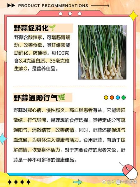 吃野蒜有什么好处_吃野蒜有哪些禁忌-第1张图片-山城妙识