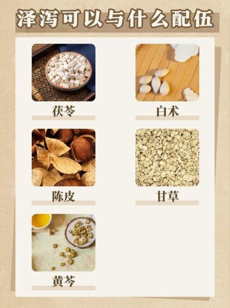 泽泻图片的功效与作用_泽泻泡水喝的正确方法-第3张图片-山城妙识 泽泻图片的功效与作用_泽泻泡水喝的正确方法-第3张图片-山城妙识