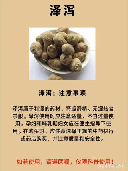 泽泻图片的功效与作用_泽泻泡水喝的正确方法-第2张图片-山城妙识 泽泻图片的功效与作用_泽泻泡水喝的正确方法-第2张图片-山城妙识