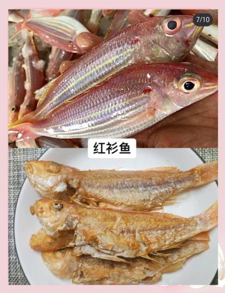 炸海鱼怎么做才酥脆_炸海鱼用什么鱼最好-第2张图片-山城妙识