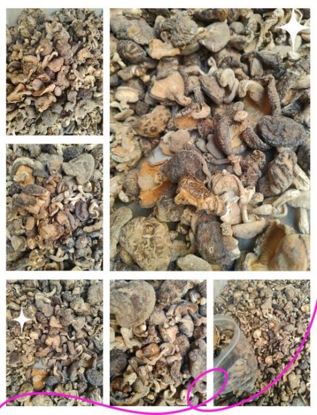 干香菇市场价多少钱一斤_干香菇价格受哪些因素影响-第1张图片-山城妙识