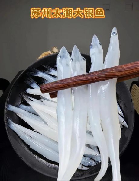 小银鱼怎么清洗_小银鱼怎么处理干净-第2张图片-山城妙识 小银鱼怎么清洗_小银鱼怎么处理干净-第2张图片-山城妙识