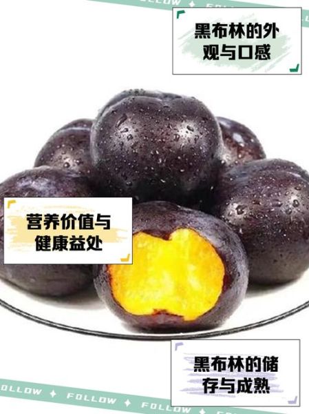 黑李子图片_黑李子功效与作用-第2张图片-山城妙识