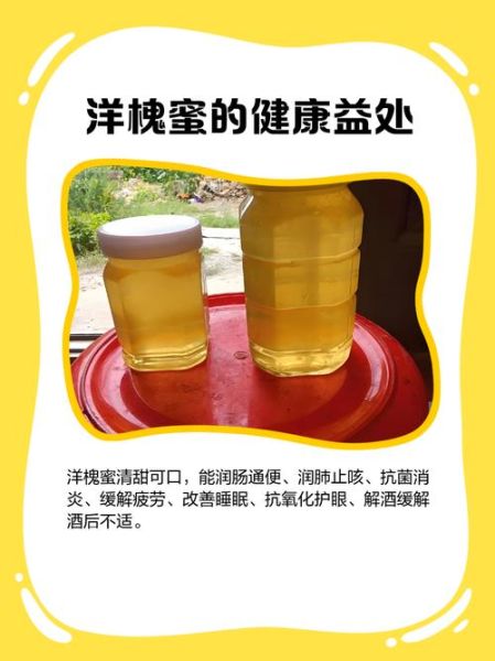 洋槐蜜怎么辨别真假_洋槐蜜真假鉴别方法-第2张图片-山城妙识 洋槐蜜怎么辨别真假_洋槐蜜真假鉴别方法-第2张图片-山城妙识