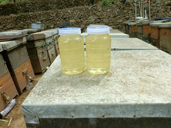 洋槐蜜怎么辨别真假_洋槐蜜真假鉴别方法-第3张图片-山城妙识 洋槐蜜怎么辨别真假_洋槐蜜真假鉴别方法-第3张图片-山城妙识