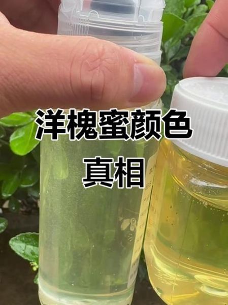 洋槐蜜怎么辨别真假_洋槐蜜真假鉴别方法-第1张图片-山城妙识 洋槐蜜怎么辨别真假_洋槐蜜真假鉴别方法-第1张图片-山城妙识