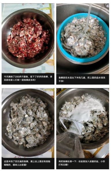 怎么熬皮冻_皮冻不腥的秘诀-第3张图片-山城妙识