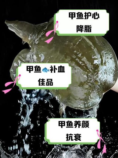 甲鱼营养价值_甲鱼功效有哪些-第2张图片-山城妙识