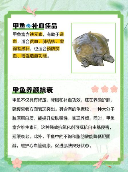 甲鱼营养价值_甲鱼功效有哪些-第1张图片-山城妙识