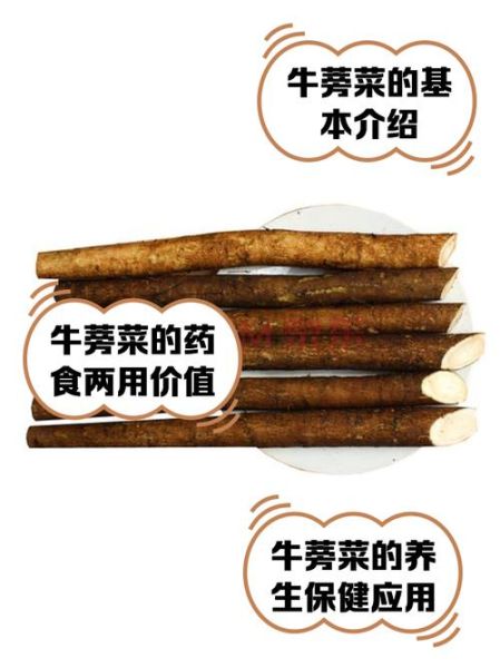 牛蒡壮阳补肾是真的吗_牛蒡怎么吃才补肾-第3张图片-山城妙识 牛蒡壮阳补肾是真的吗_牛蒡怎么吃才补肾-第3张图片-山城妙识