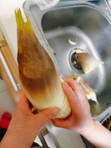 炒竹笋前用焯水吗_竹笋焯水几分钟-第3张图片-山城妙识 炒竹笋前用焯水吗_竹笋焯水几分钟-第3张图片-山城妙识