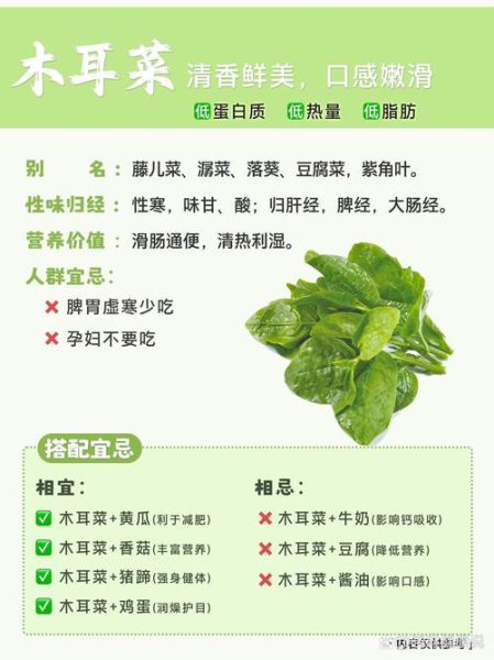 木耳菜不能和什么一起吃_木耳菜相克食物有哪些-第1张图片-山城妙识
