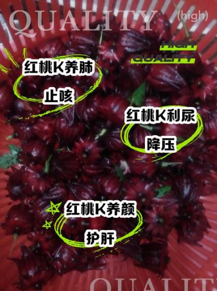 红桃k的作用及功效与禁忌_红桃k什么人不能吃-第2张图片-山城妙识