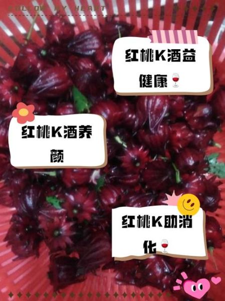 红桃k的作用及功效与禁忌_红桃k什么人不能吃-第3张图片-山城妙识