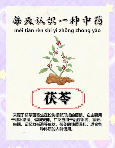 茯苓怎么吃最简单_茯苓简易食用方法-第2张图片-山城妙识