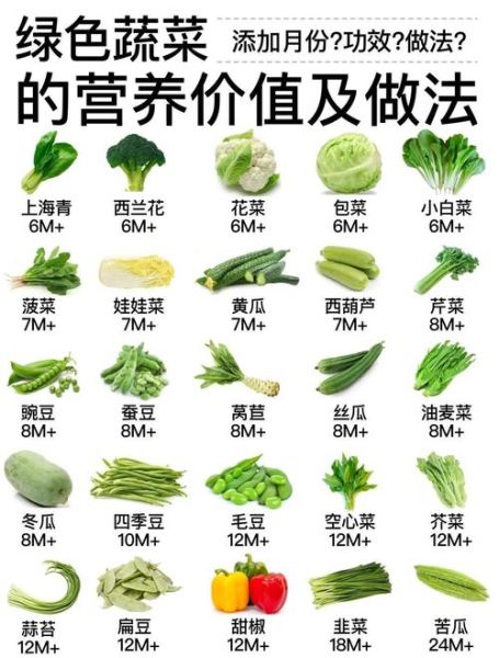 绿色蔬菜有哪些_如何挑选最新鲜的绿叶菜-第2张图片-山城妙识