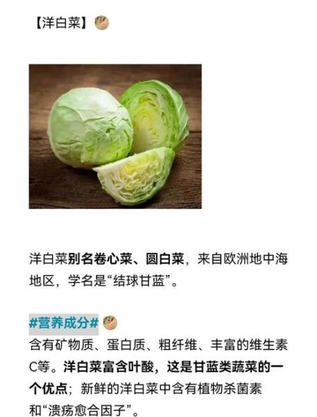 圆白菜又叫什么_圆白菜和包菜的区别-第1张图片-山城妙识