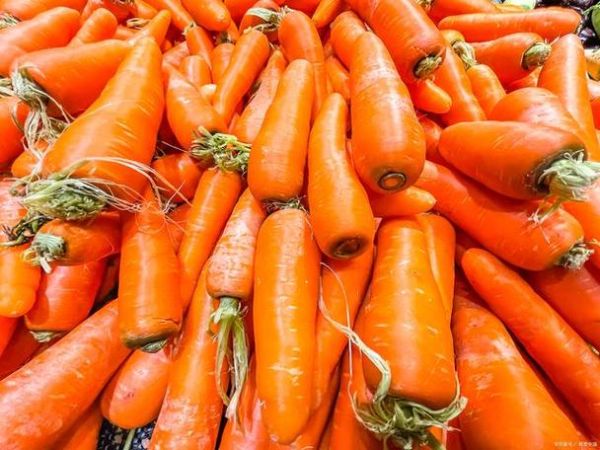 胡萝卜图片大全大图高清_如何挑选高清胡萝卜图片-第2张图片-山城妙识 胡萝卜图片大全大图高清_如何挑选高清胡萝卜图片-第2张图片-山城妙识