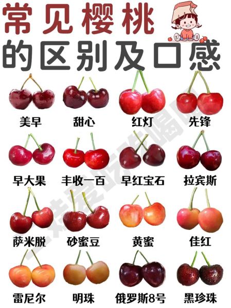 车厘子和樱桃的区别照片_怎么分辨-第1张图片-山城妙识 车厘子和樱桃的区别照片_怎么分辨-第1张图片-山城妙识