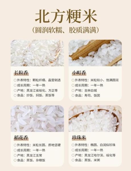 粳米和籼米的区别_粳米和籼米哪个好吃-第3张图片-山城妙识