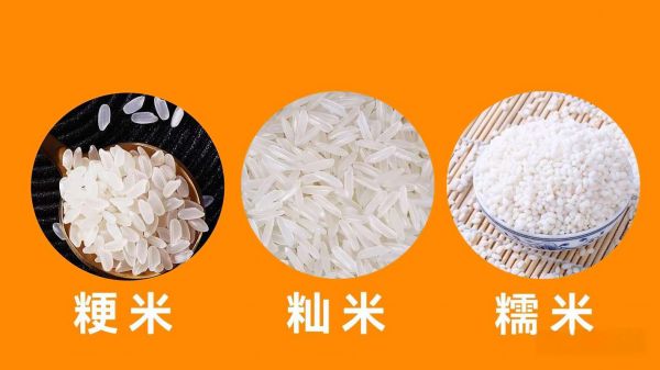 粳米和籼米的区别_粳米和籼米哪个好吃-第2张图片-山城妙识